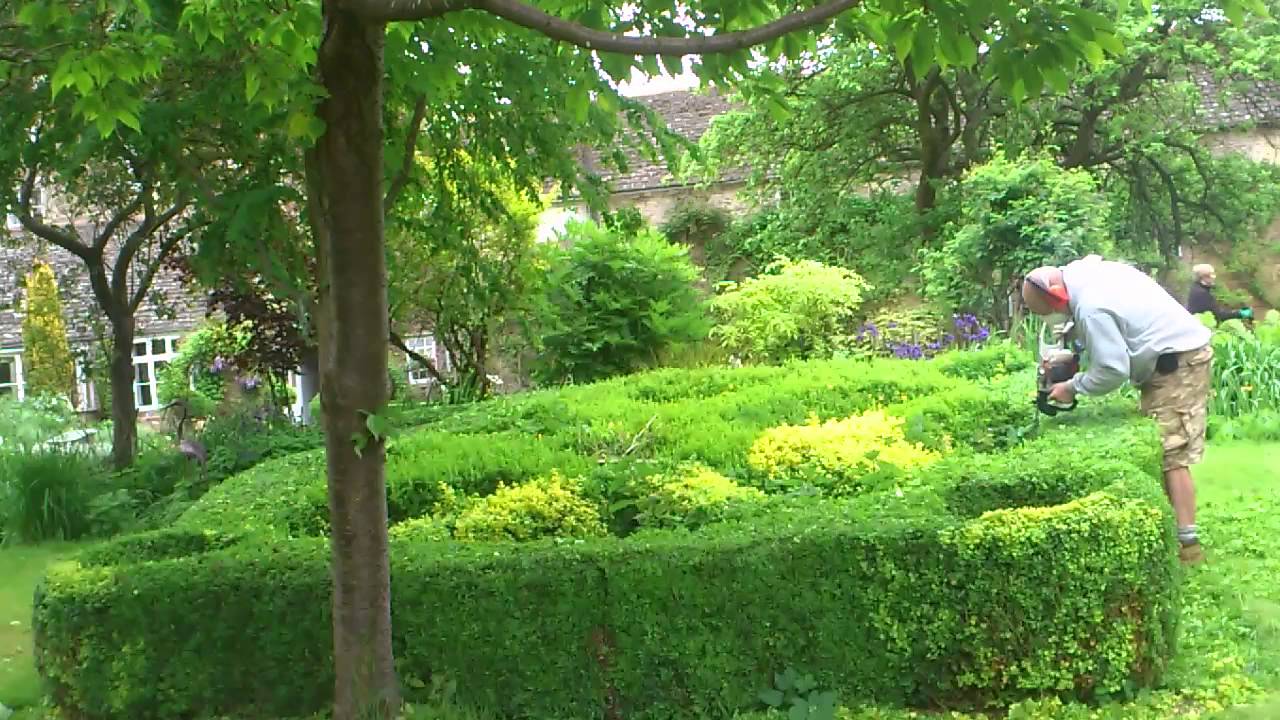 Box hedge triming - YouTube