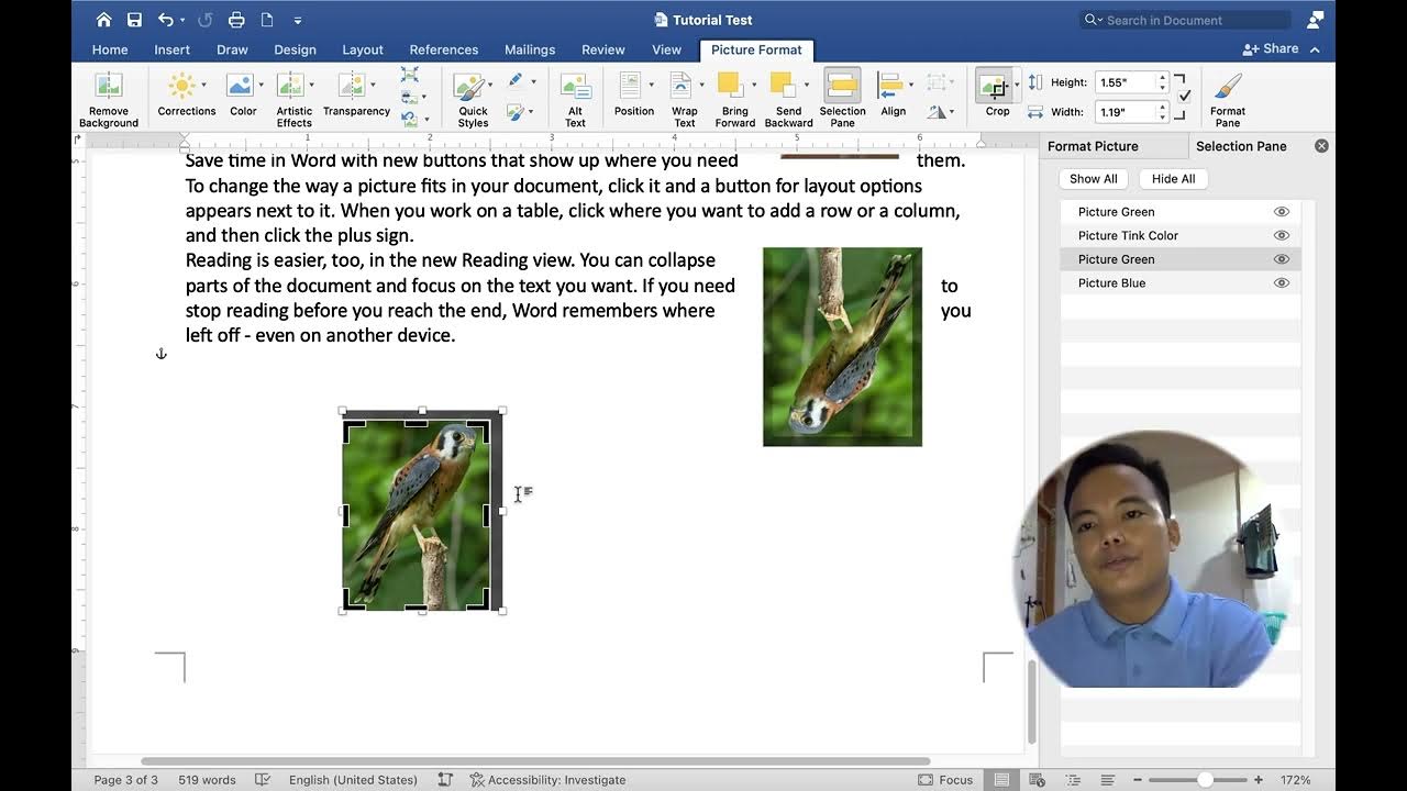 MS WORD Lesson 2 “Insert Tab” Part 7 Picture Crop,Rotate,Format Pane - YouTube