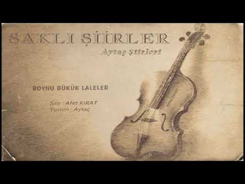 Aytaç Boynu Bükük Laleler (Saklı Şiirler)