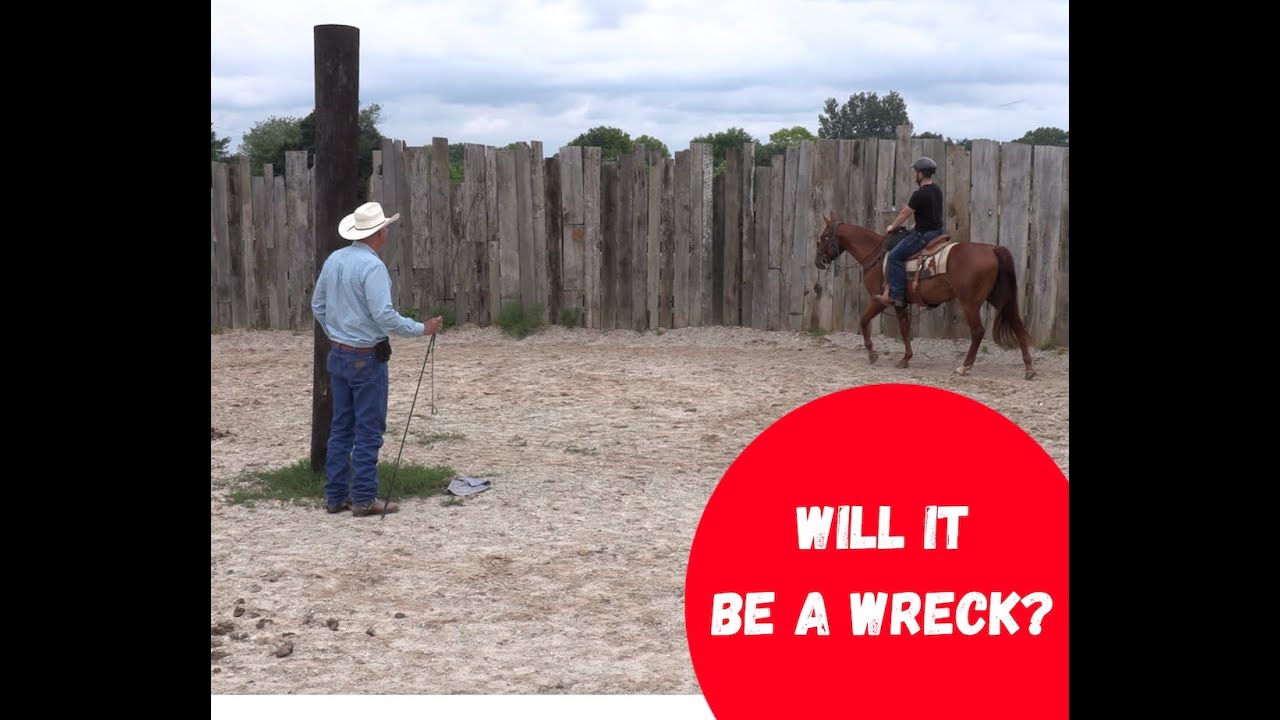 Green Horse, Green Rider. Can It Work? (Episode 175) - Herm Gailey: A ...