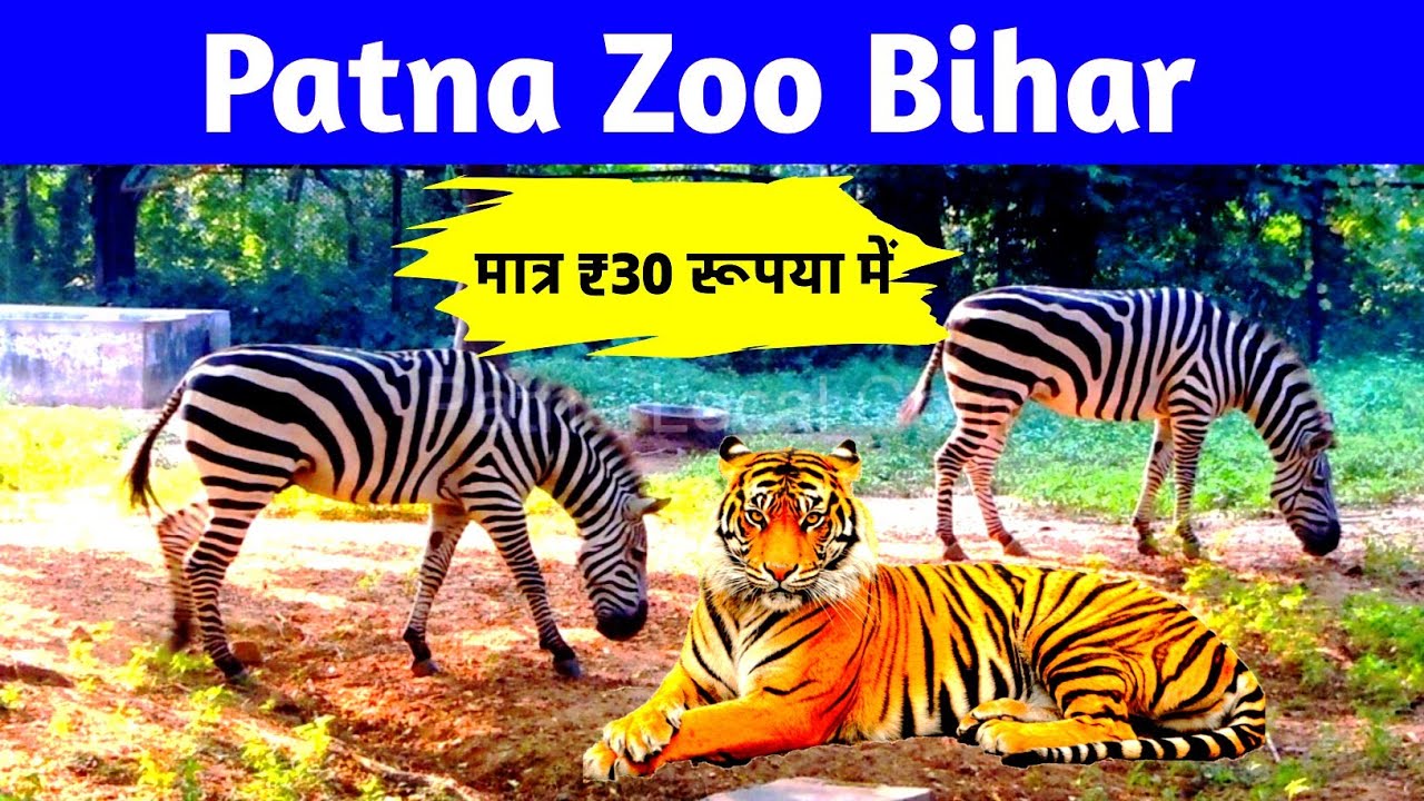 Patna Zoo Ghar Bihar | Best Zoo in India | Patna Ka Chidiya Ghar ...