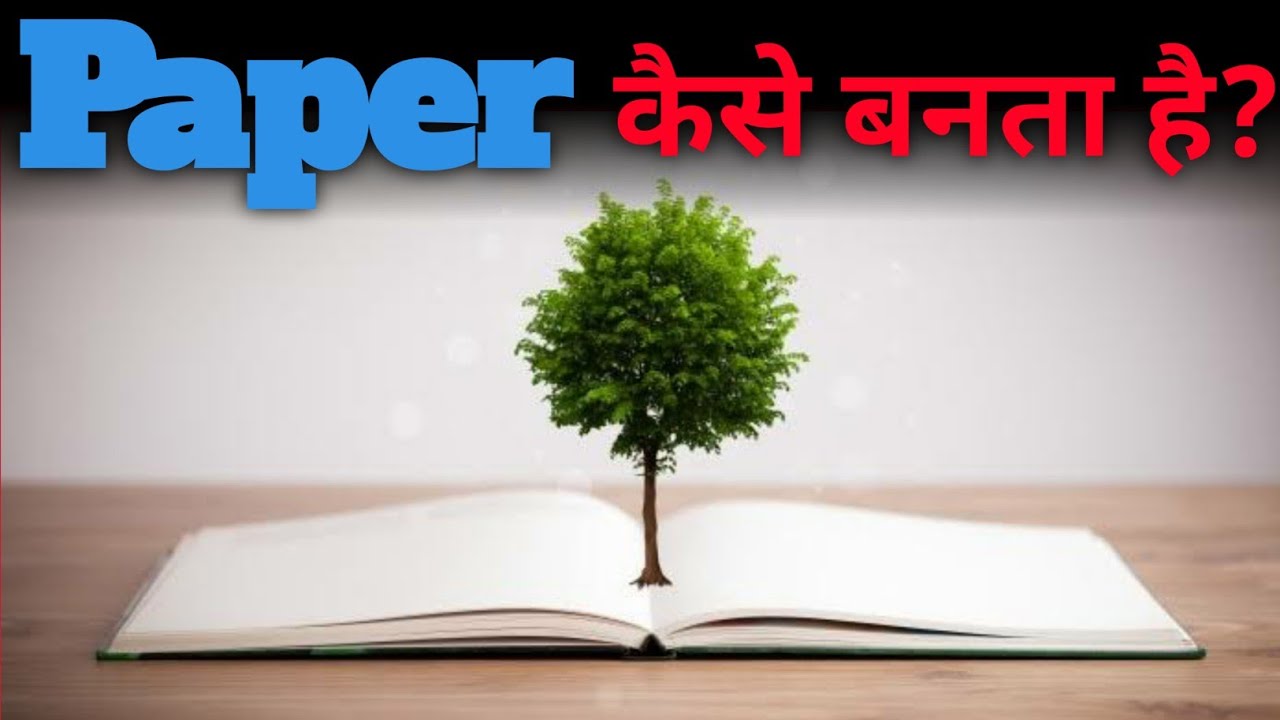 देखिए पेपर कैसे बनता है😯 || How is paper made in hindi || FactzBook ...