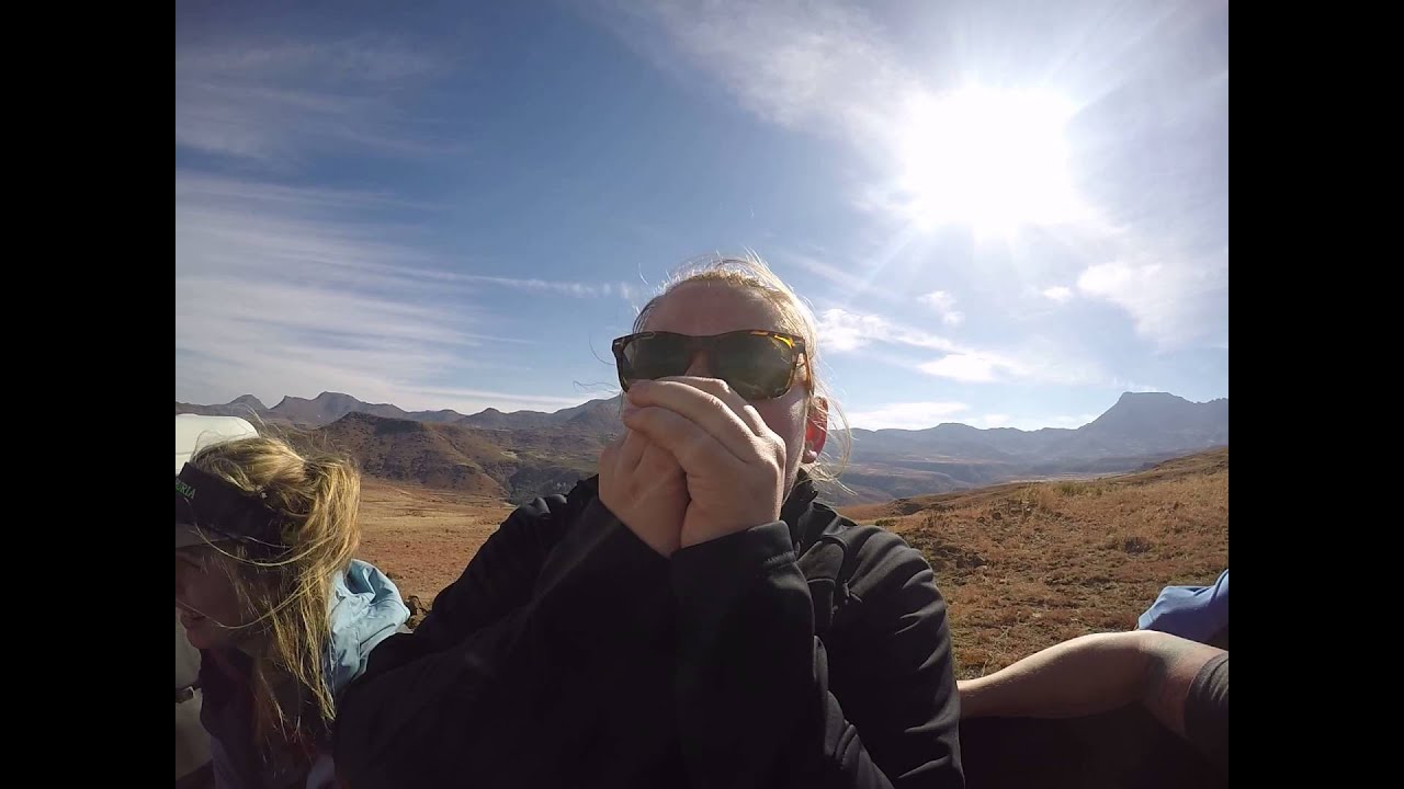 The Human barking Dog (How to talk to your dog) - YouTube