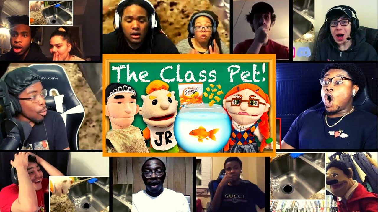 sml-movie-the-class-pet-reactions-mashup-youtube