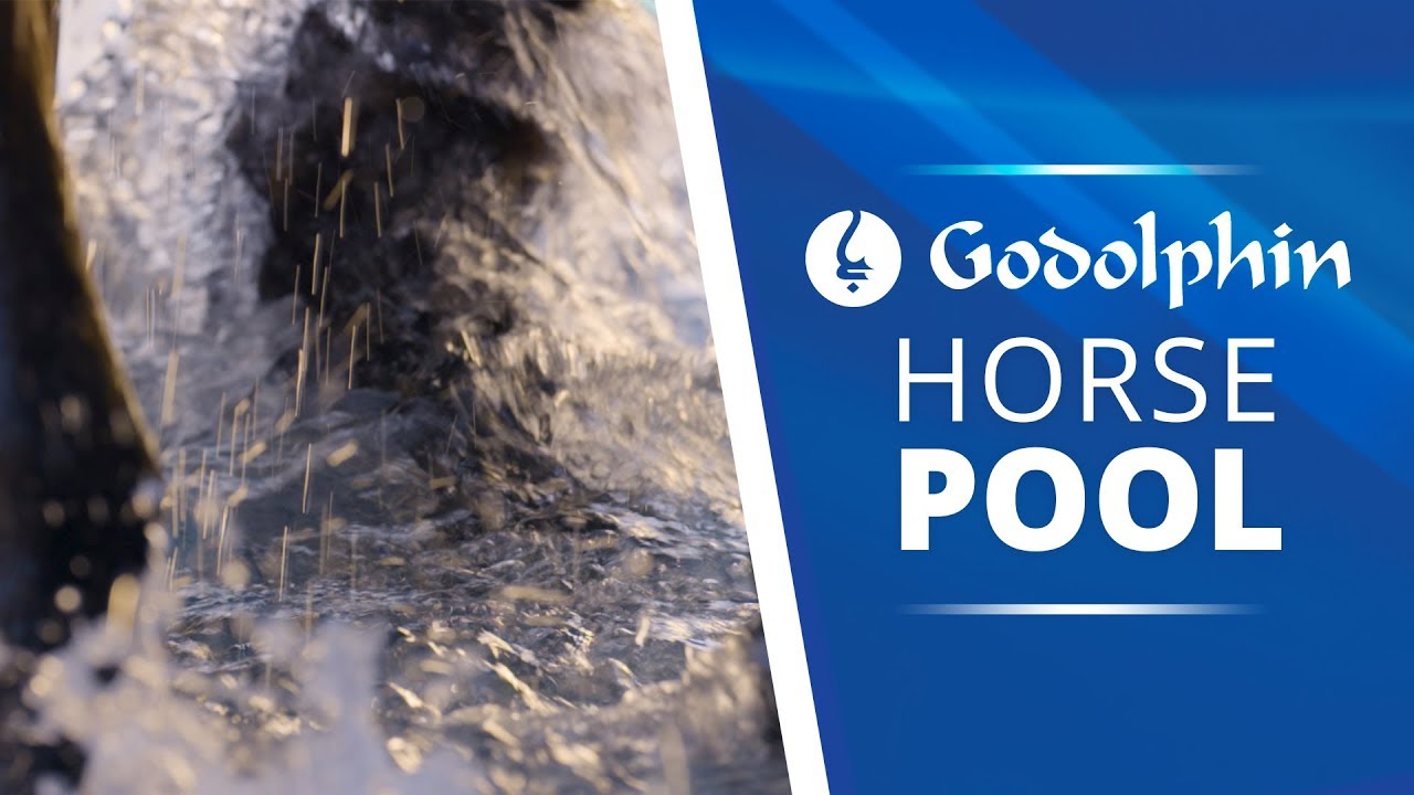 Training in the Horse Pool - YouTube