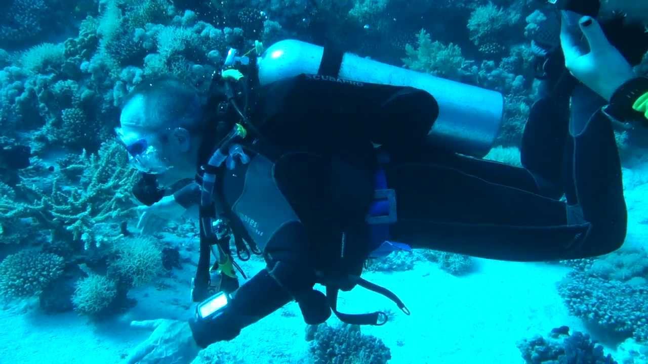 Kate and Christo scuba diving (Red Sea) - YouTube