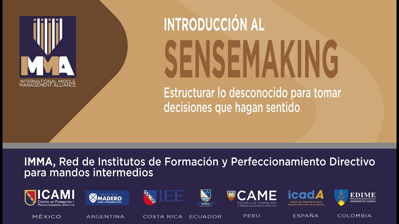 Webinar. Introducción al SENSEMAKING - YouTube