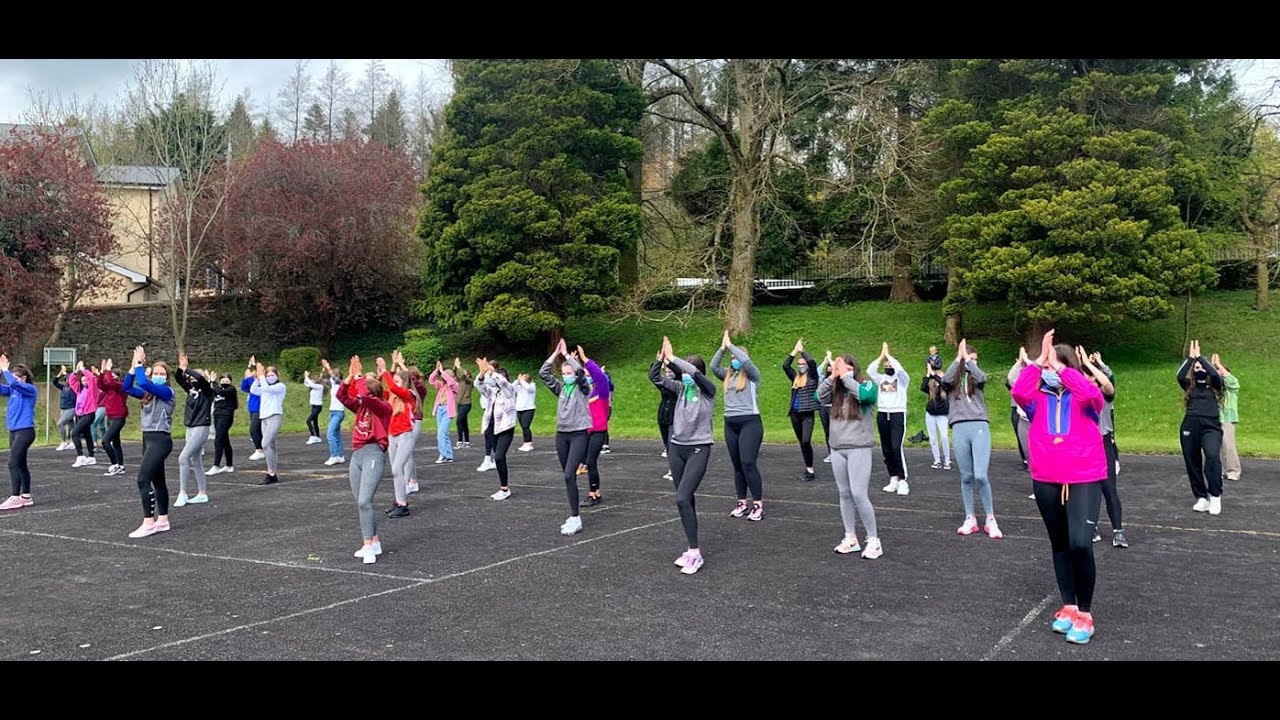 St Louis Monaghan Transition Year students participate in the ...