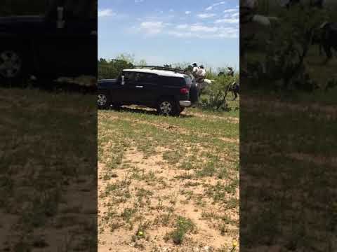 On the run from the posse SPUR 327 music video - YouTube