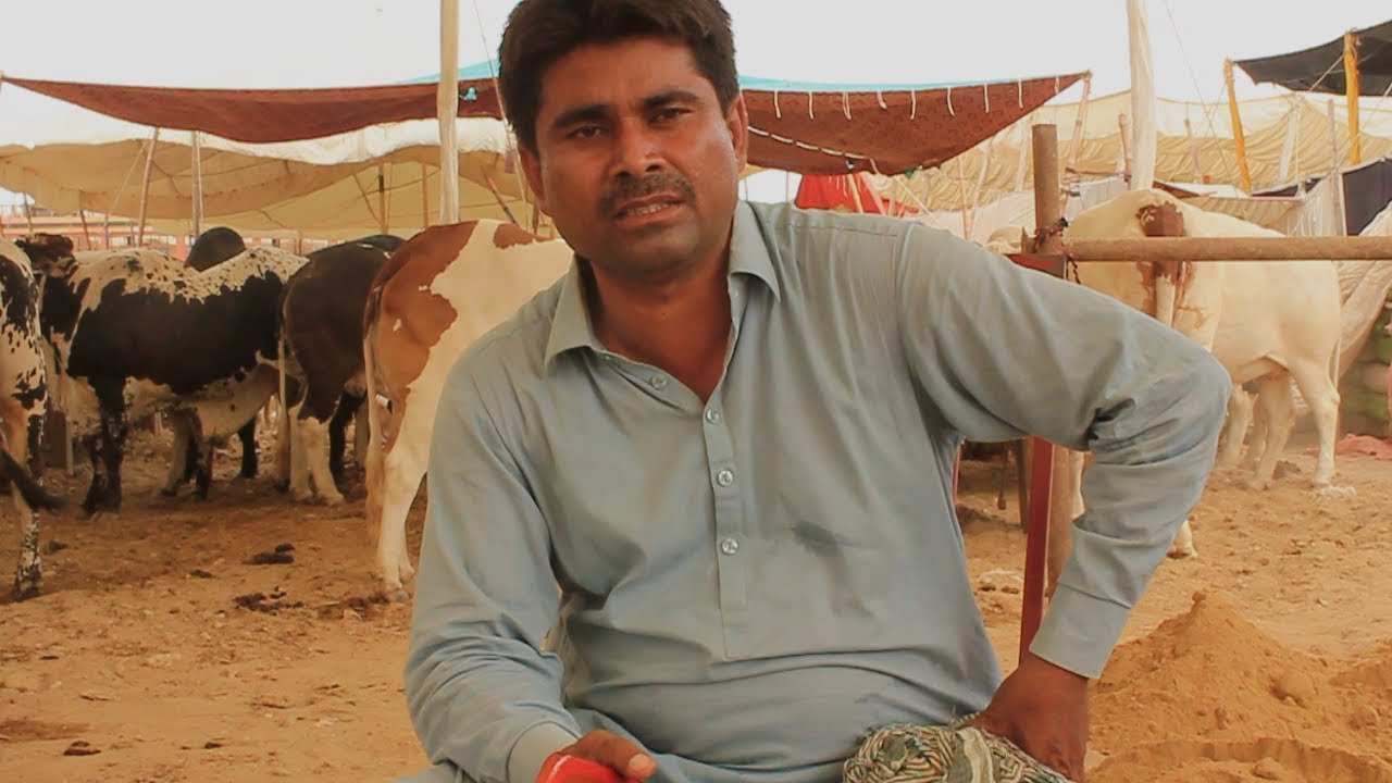 LIFE OF STOCKMANS - YouTube