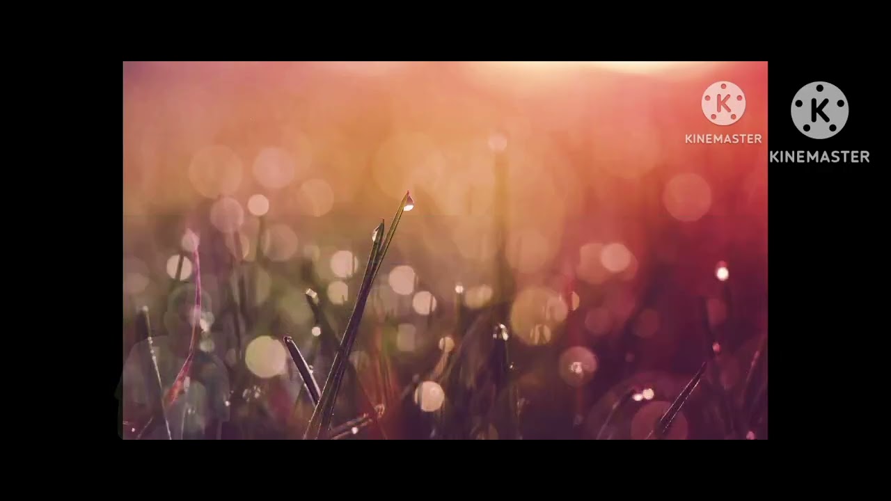 lagu PNG lamaika remix - YouTube