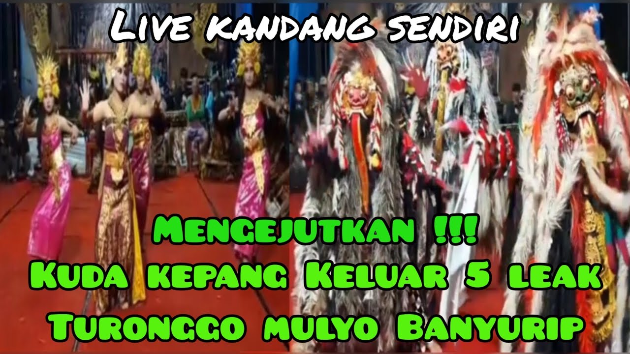mengejutkan keluar 5 leak di warok turonggo mulyo | kuda kepang | kuda ...