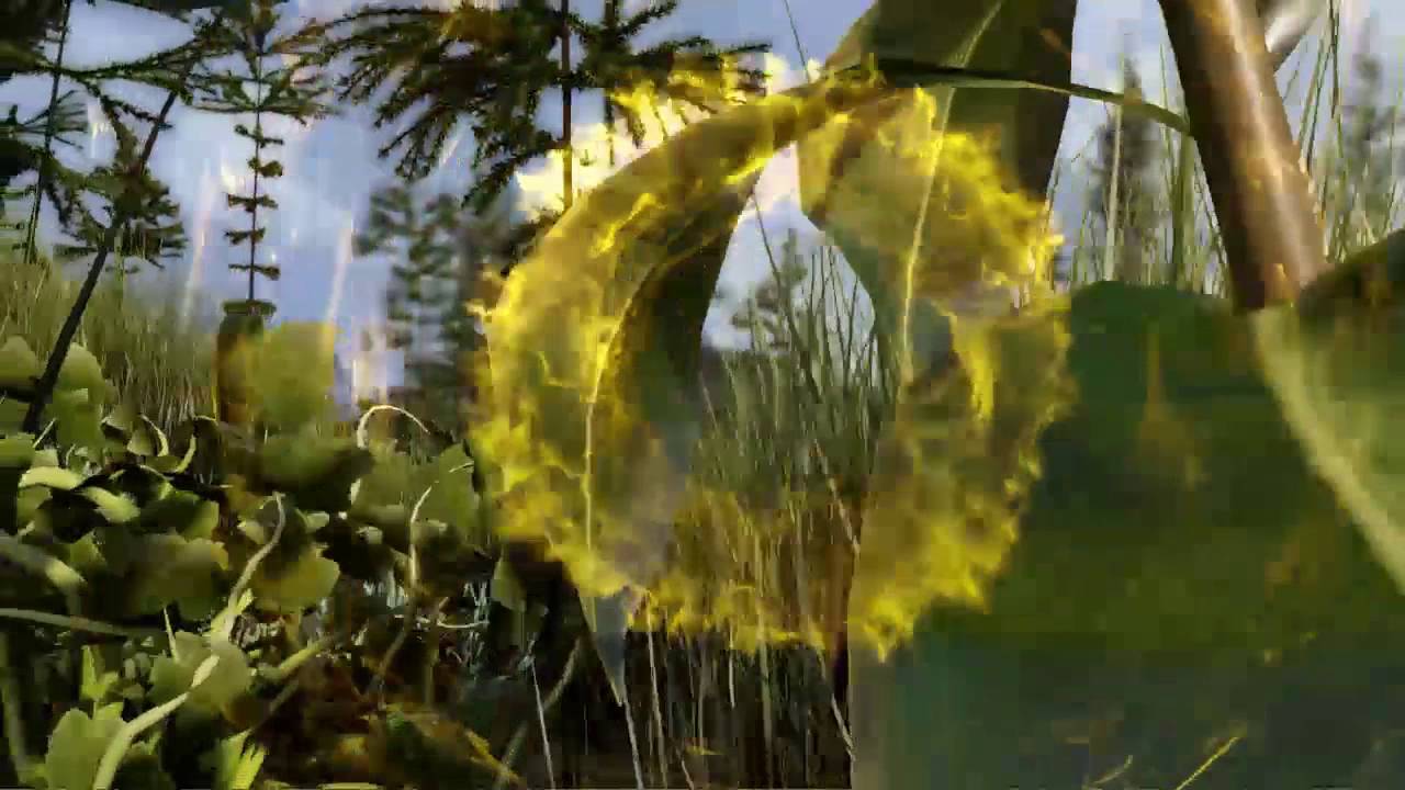 Bioacoustics and the Visualization of Insect Song - YouTube