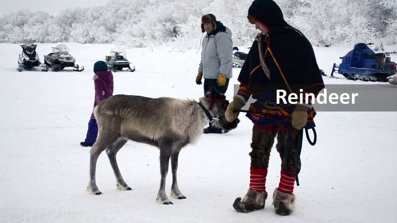 Inuvik Sunrise Festival 2016 - YouTube