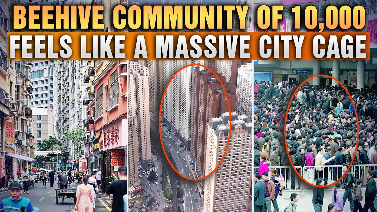 Too scary! The beehive community of 10,000 people feels like a massive ...