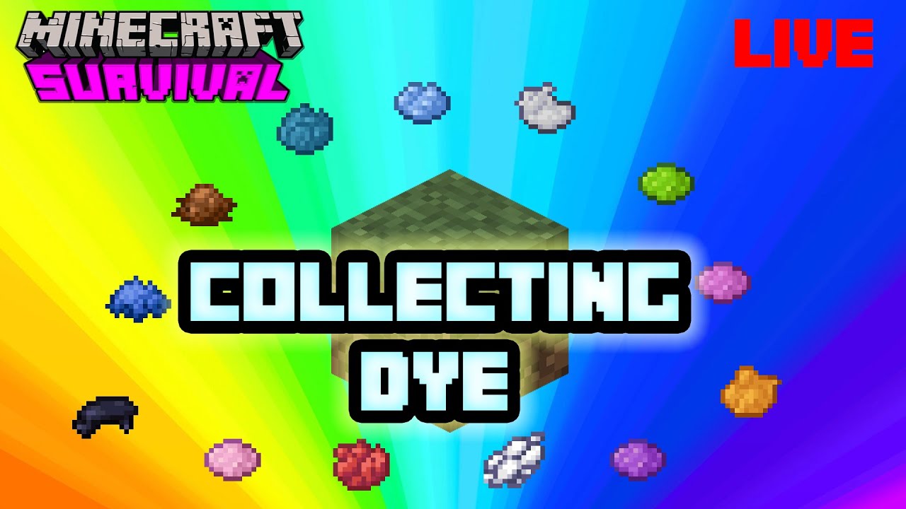 Collecting All the DYES for my sheep farm| Chill MINECRAFT Stream - YouTube