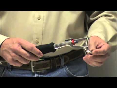 Callicrate WEE Bander - YouTube