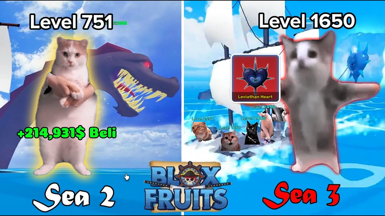 Blox Fruits | Cats in The Sea But... ( FULL 3 SEAS) - Huy G - YouTube
