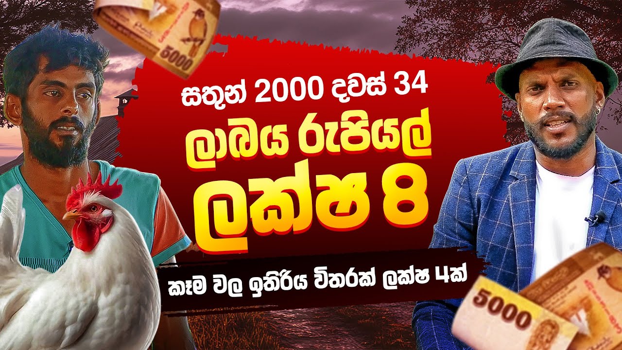 දිනක ලාබය රුපියල් 26000 | Broiler Chicken Farming | Milmolac | Farm ...