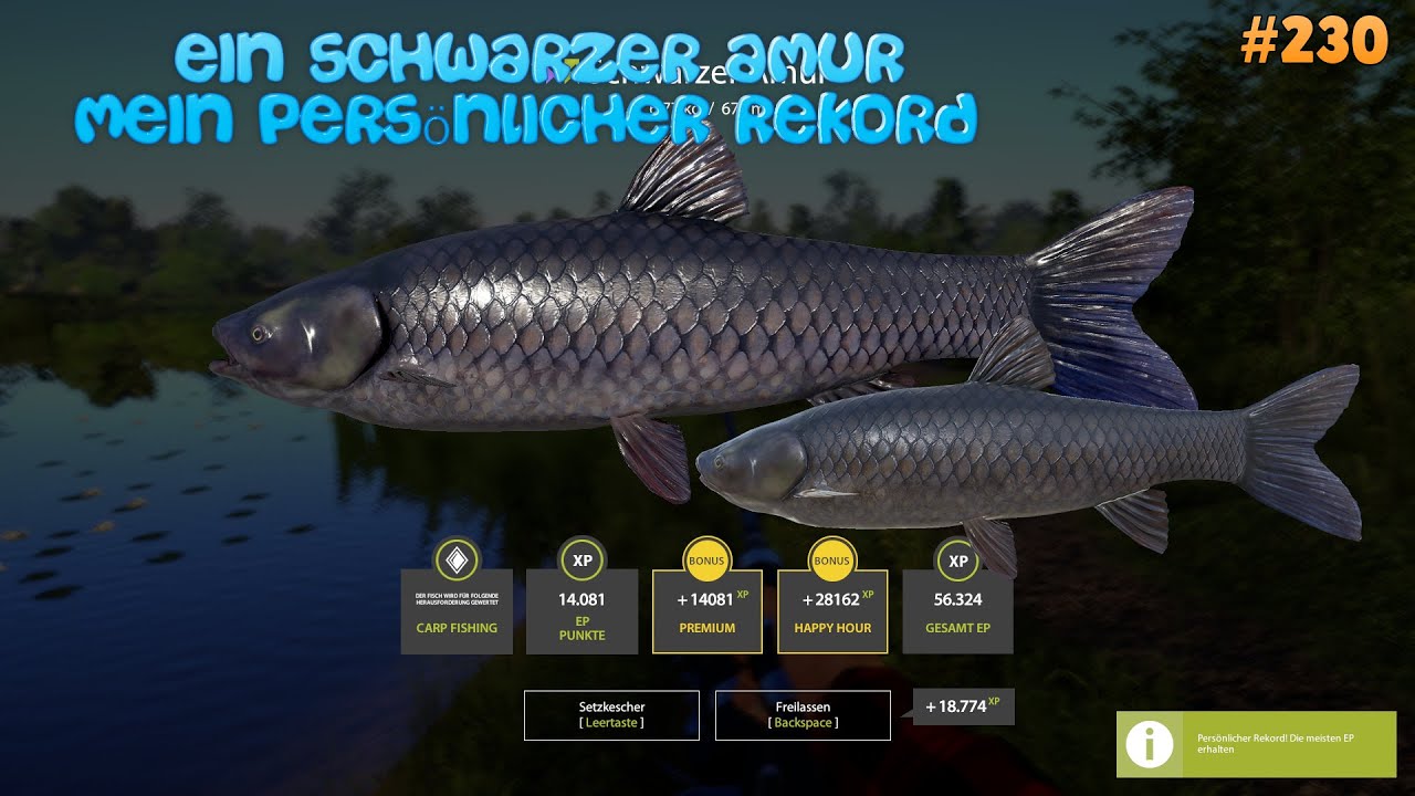 #230 RF4 Ein schwarzer Amur Persönlicher Rekord [Russian Fishing] [RF4 ...