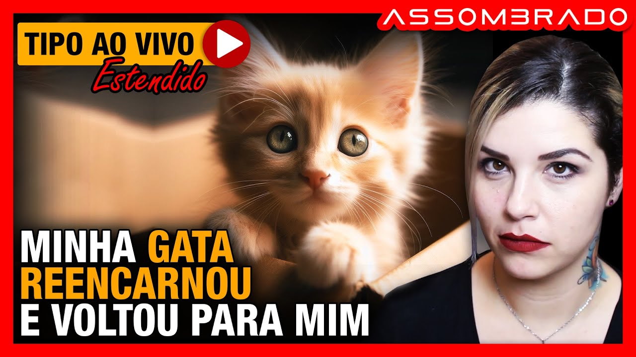 Ela Havia Se Conectado Muito Com Aquela Gatinha Mas A Minha Gata