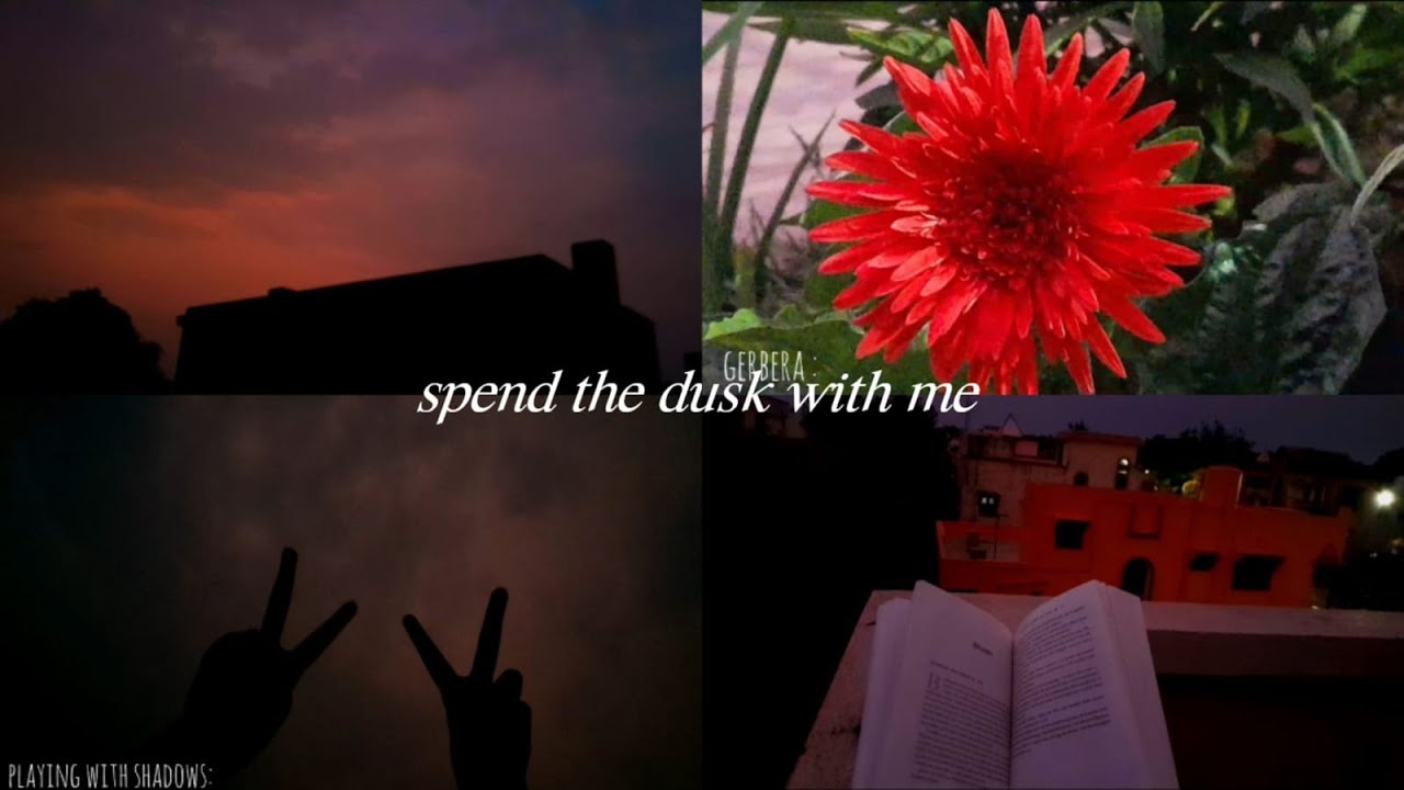 spend the dusk with me 🌆 I adrija basu - YouTube