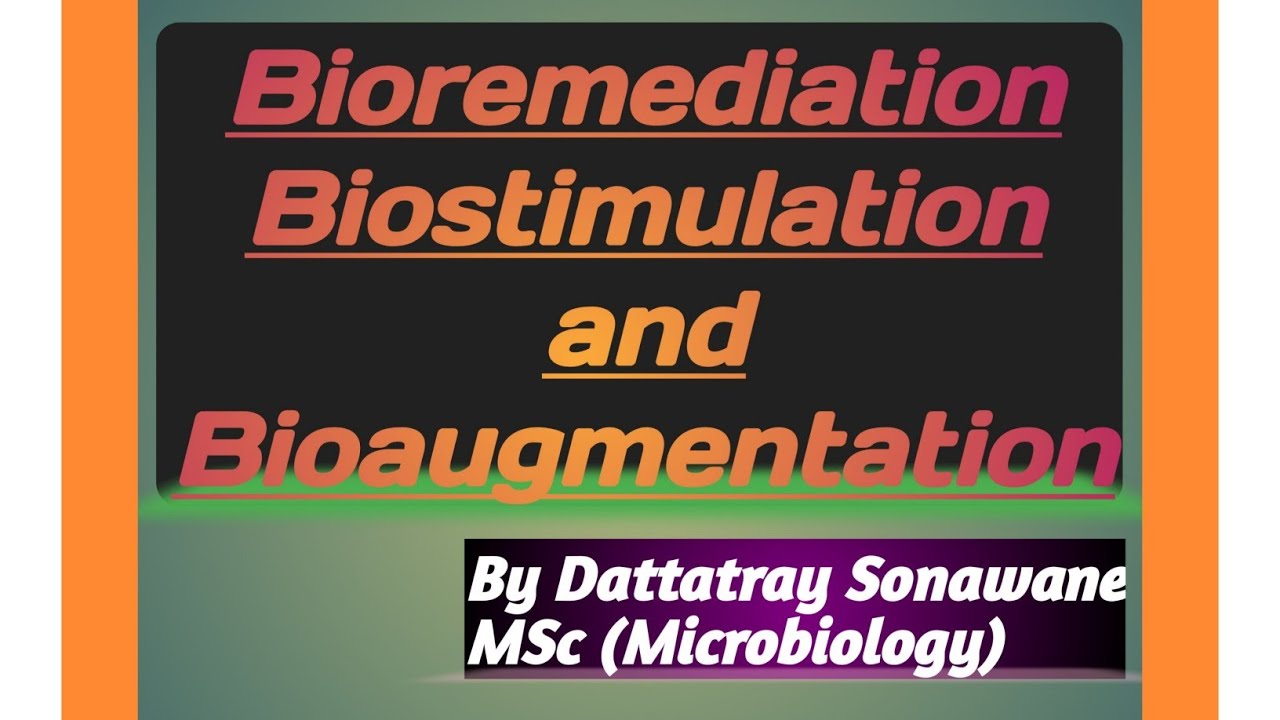 Bioremediation, Biostimulation & Bioaugmentation ll @Dattatray Sonawane - YouTube