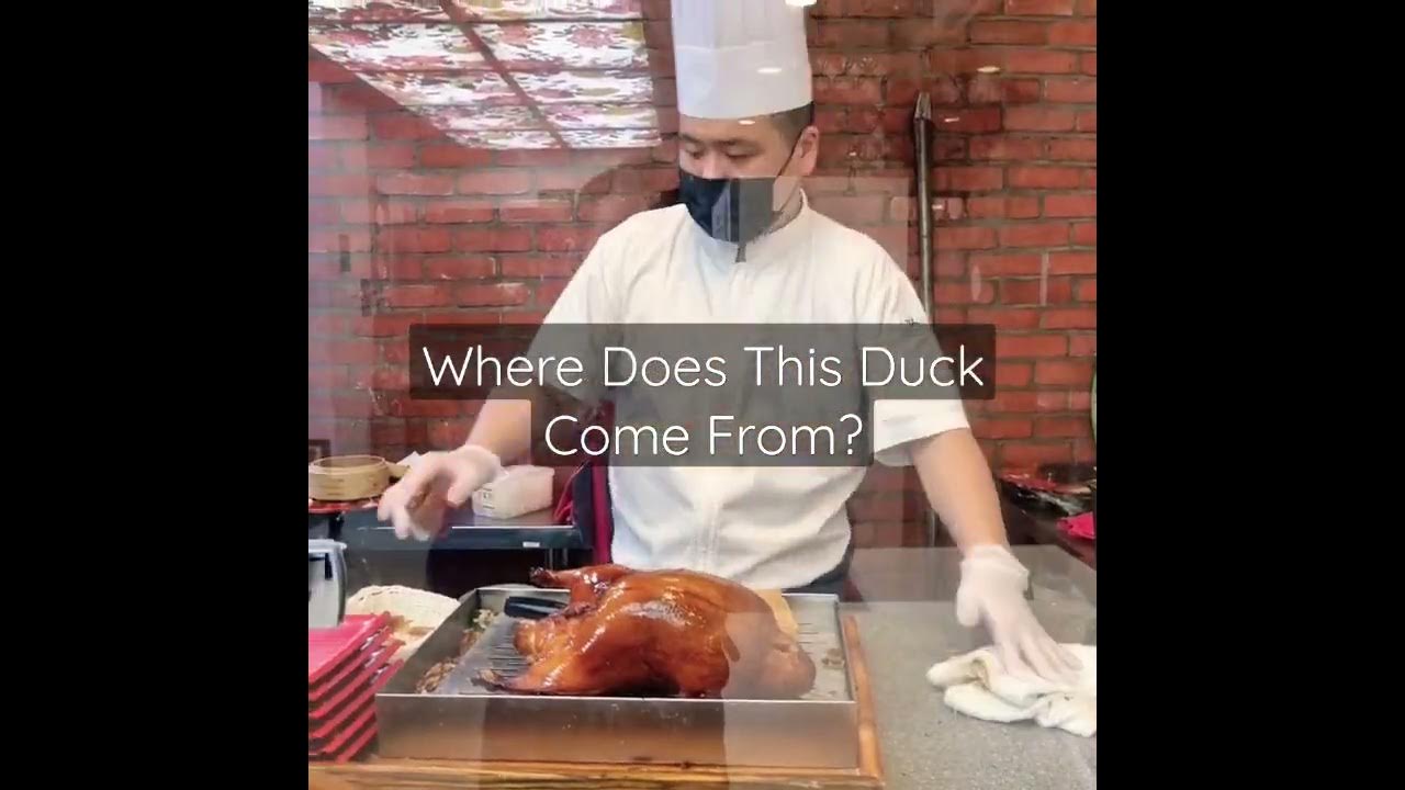 Where Does This Duck Come From food foodie streetfood tastyfood where-does-this-duck-come-from-food-foodie-streetfood-tastyfood
