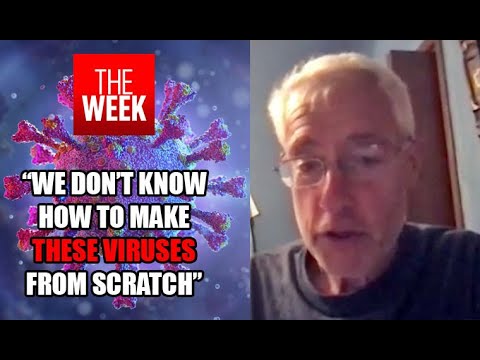 Coronavirus expert Stanley Perlman on COVID, children's immunity, and ...