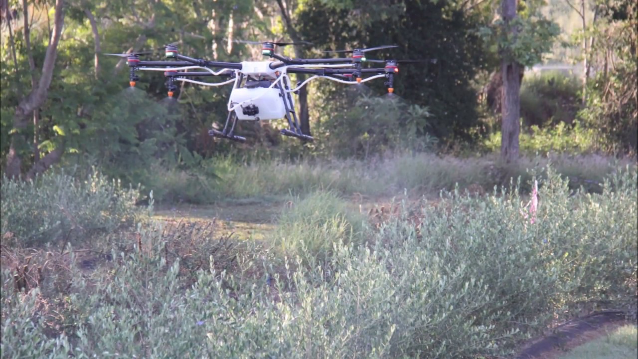 Pest management through drone technology in Queensland - YouTube