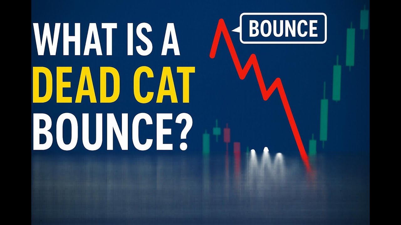 📉 What is a Dead Cat Bounce—and why should investors care? - YouTube