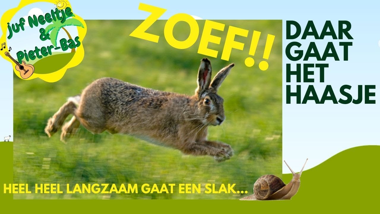 ZOEF DAAR GAAT HET HAASJE LES & LIEDJE over langzaam en snel van juf ...