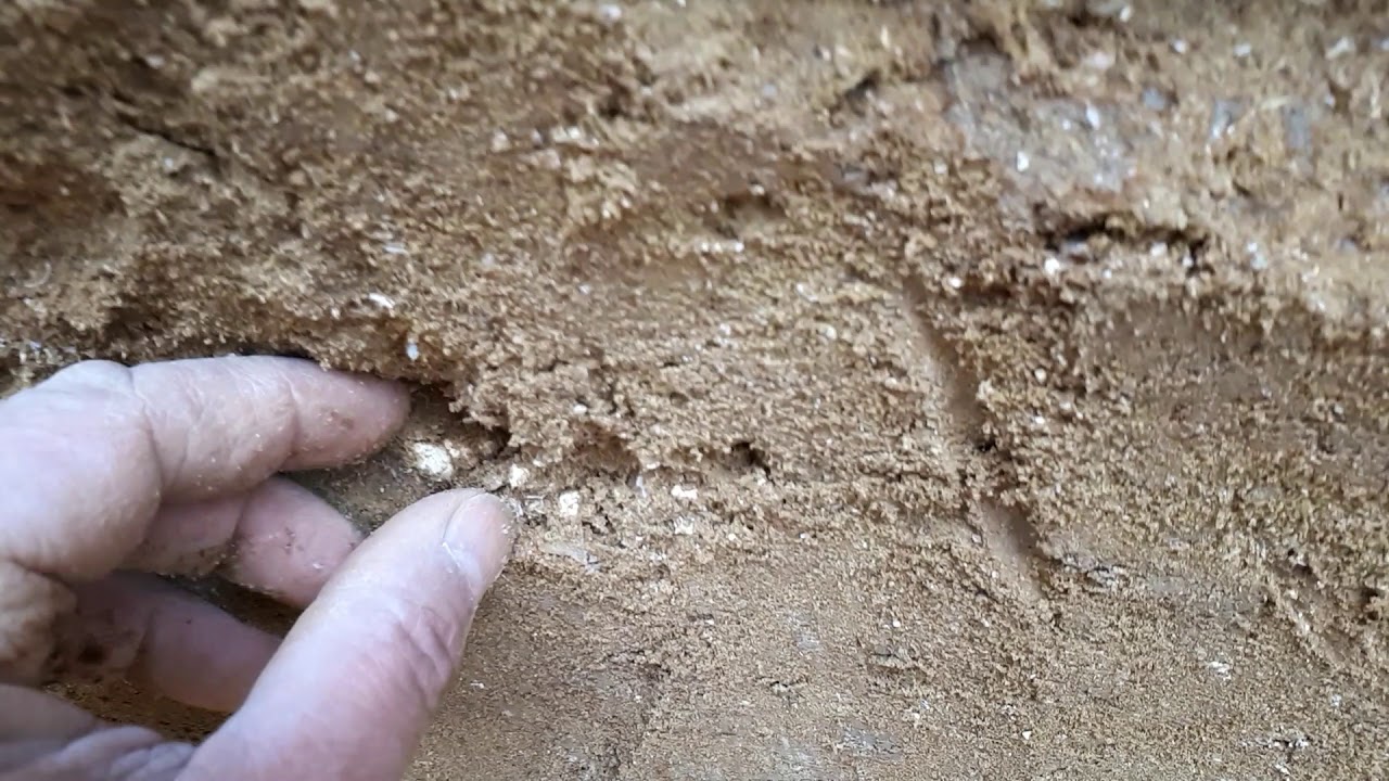 Strates de fossiles bordelais - YouTube