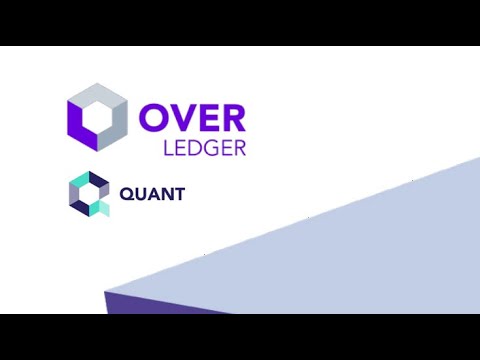 QUANT NETWORK QNT WORKING WITH THE INTERNET ENGINEERING TASK FORCE SATP ...