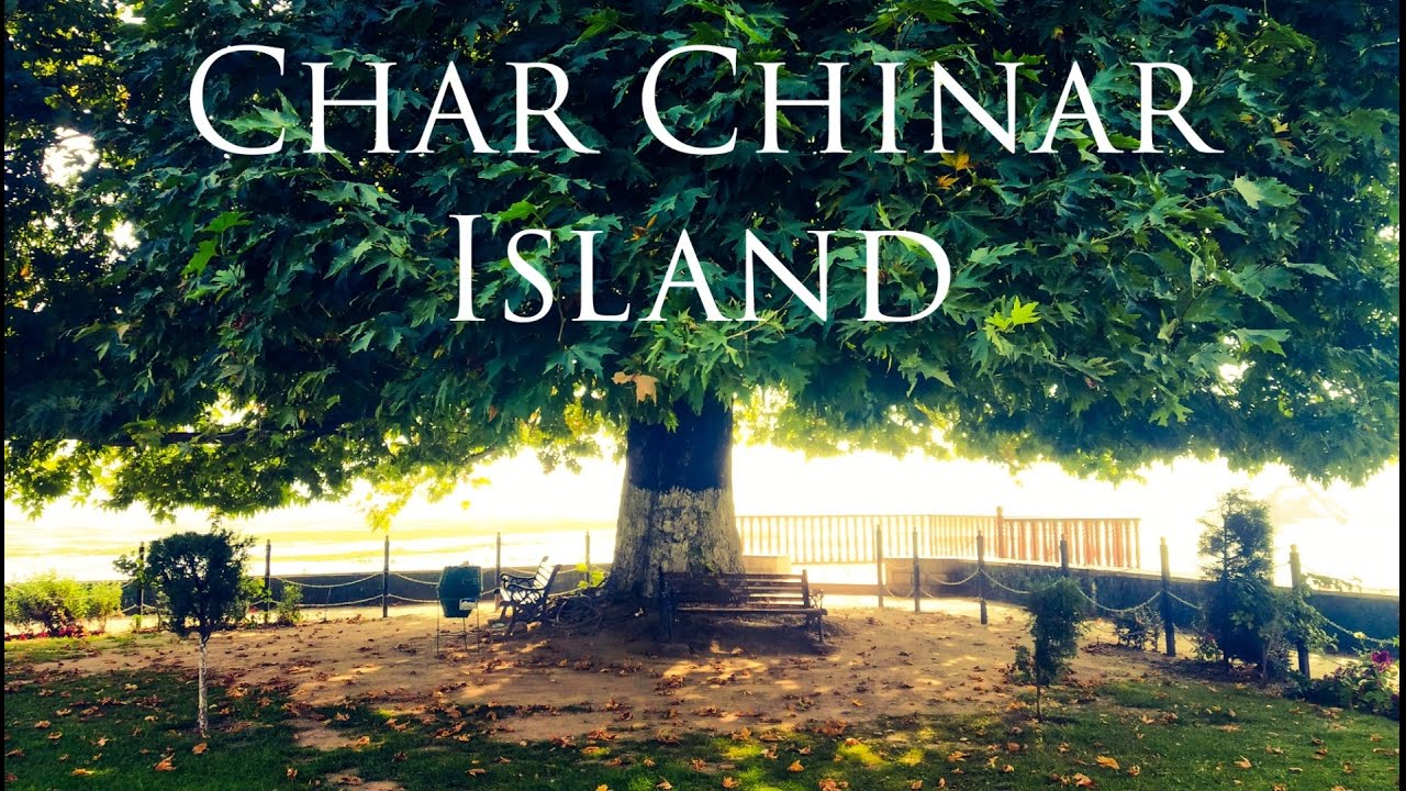 Char Chinar Island, Kashmir | Kashmir In September - October - YouTube