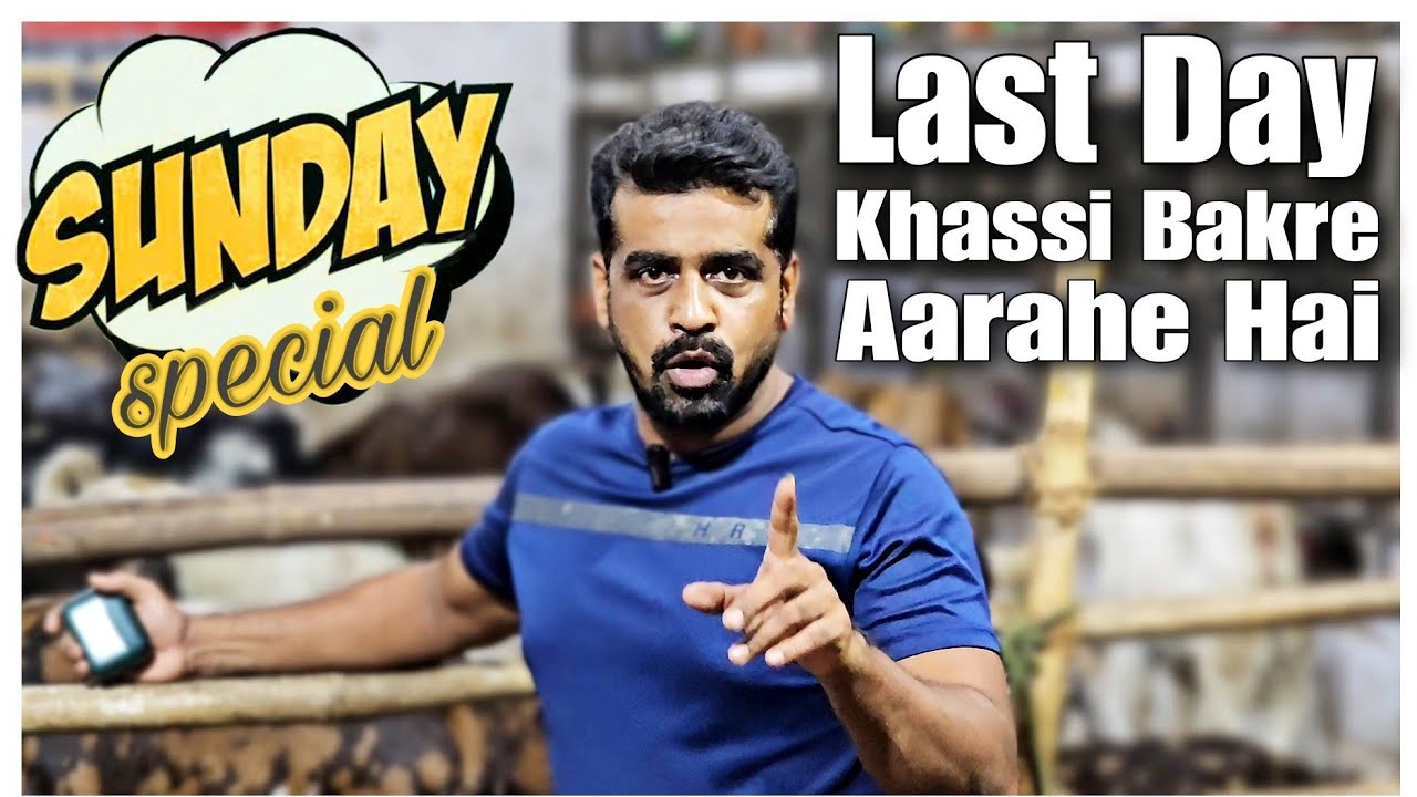 Kal khassi Bakre Aarahe hai Qurbani ke Bakre STAR GOATS FARM Asif STD ...