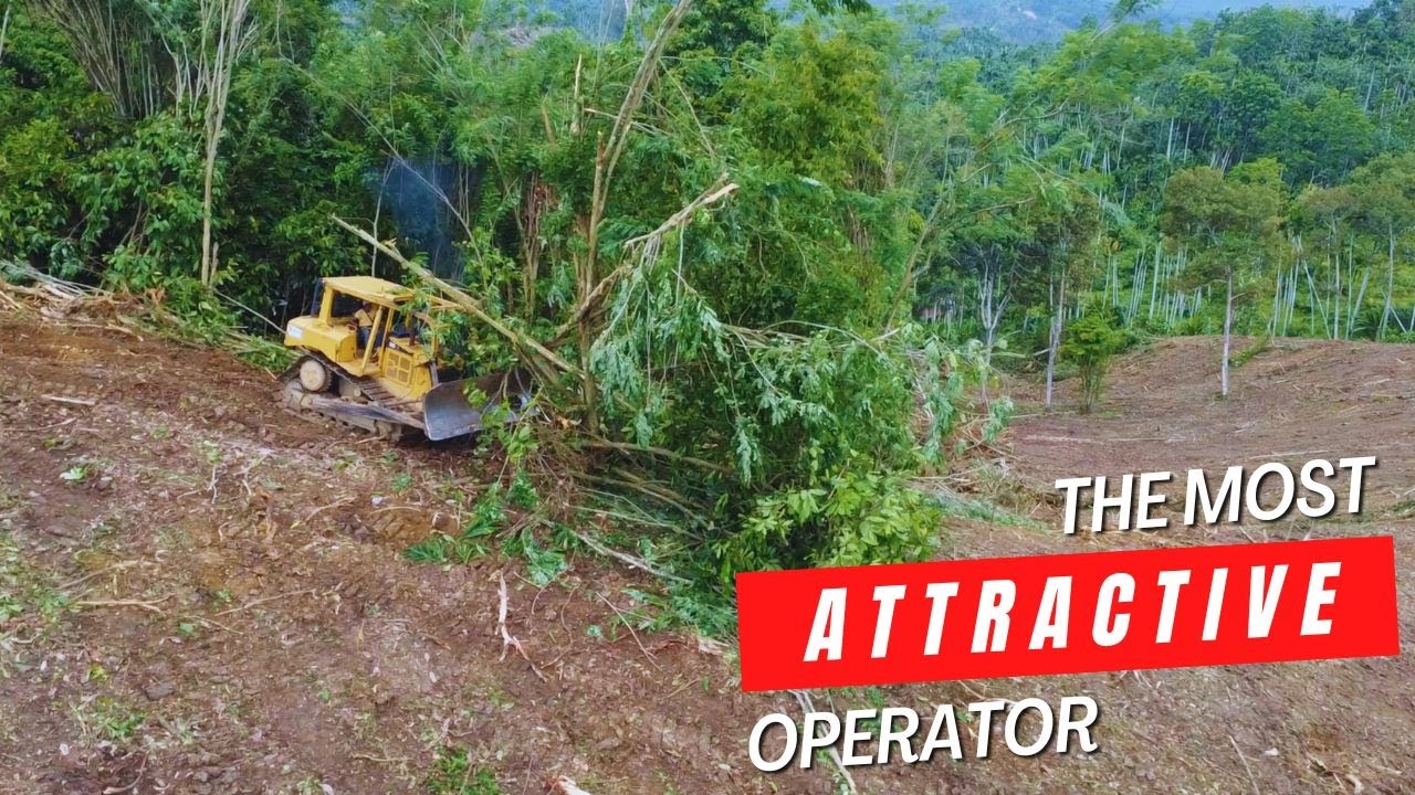 incredible High Skill Plantation Construction Technology Bulldozer ...