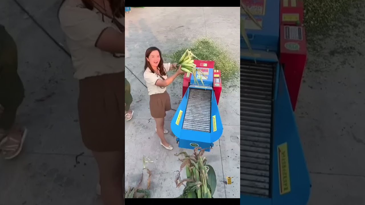 Amazing Gross Cutting Machine #shorts - YouTube