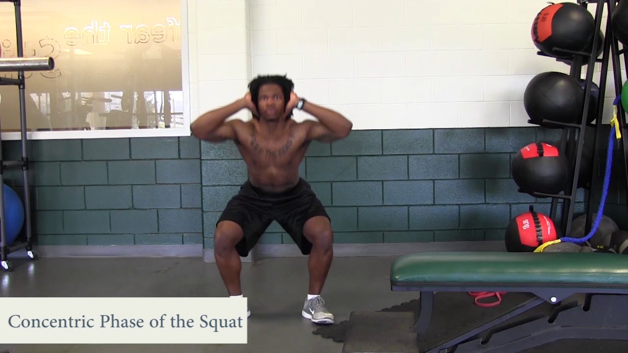 Concentric Phase of the Squat - YouTube