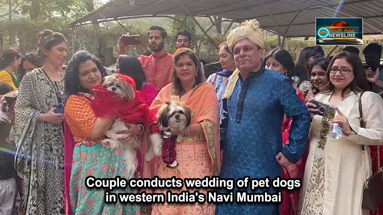 Couple conducts wedding of pet dogs in western India's Navi Mumbai ...