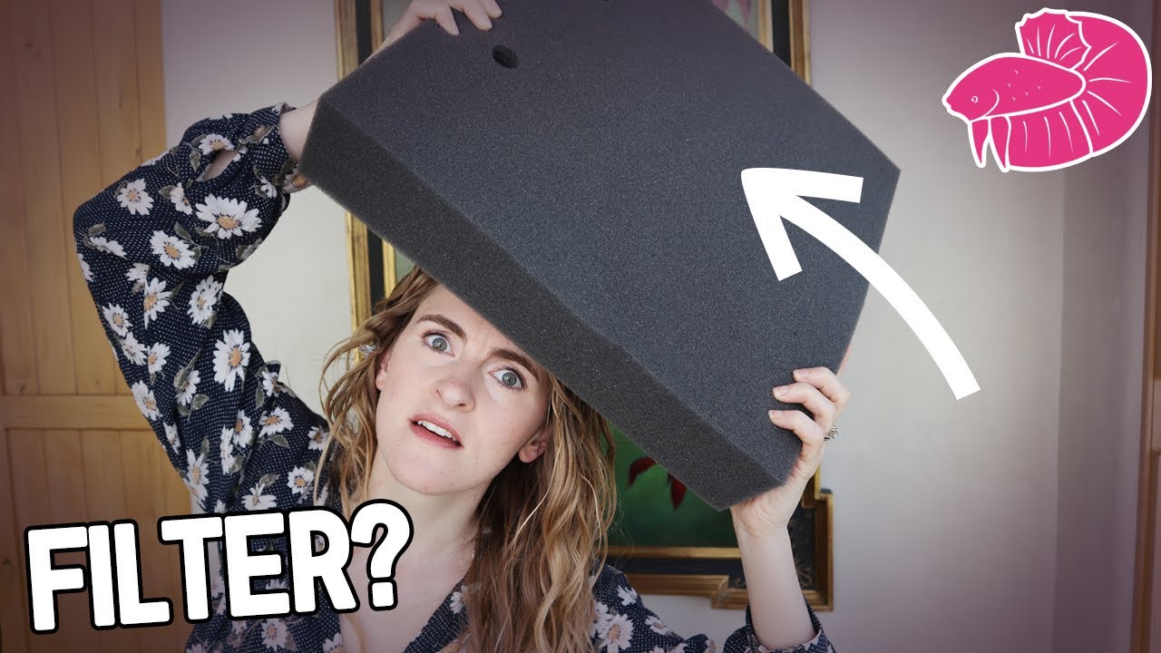 A NEW kind of filter? Simply Betta Tries New Things and Can't Pronounce ...