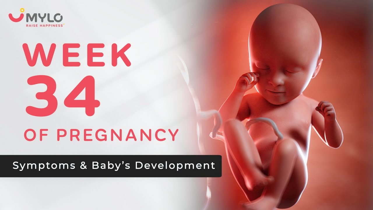 Baby’s Development at 34th Week of Pregnancy | गर्भावस्था का ३४ वा ...