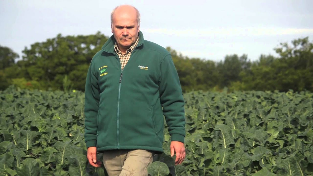 Wealmoor Waitrose Way Award 2015 - YouTube