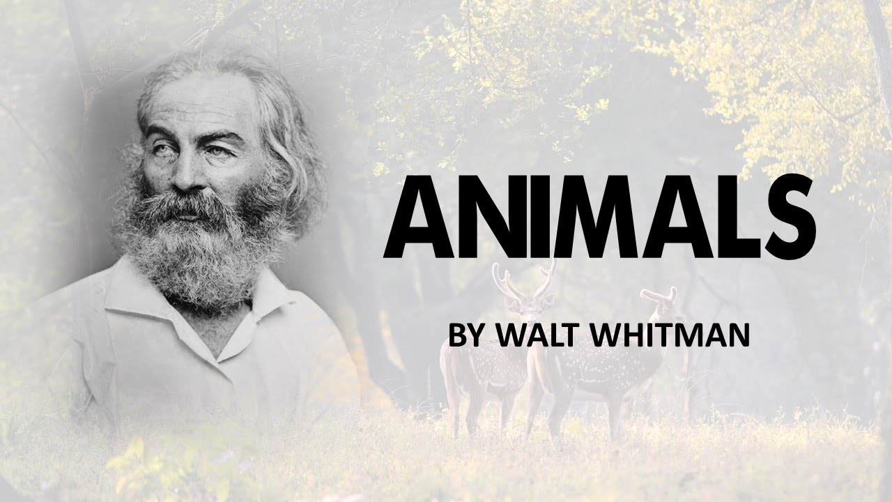 Animals Poem by Walt Whitman | CBSE: Class 10, English: Poem - Animals ...