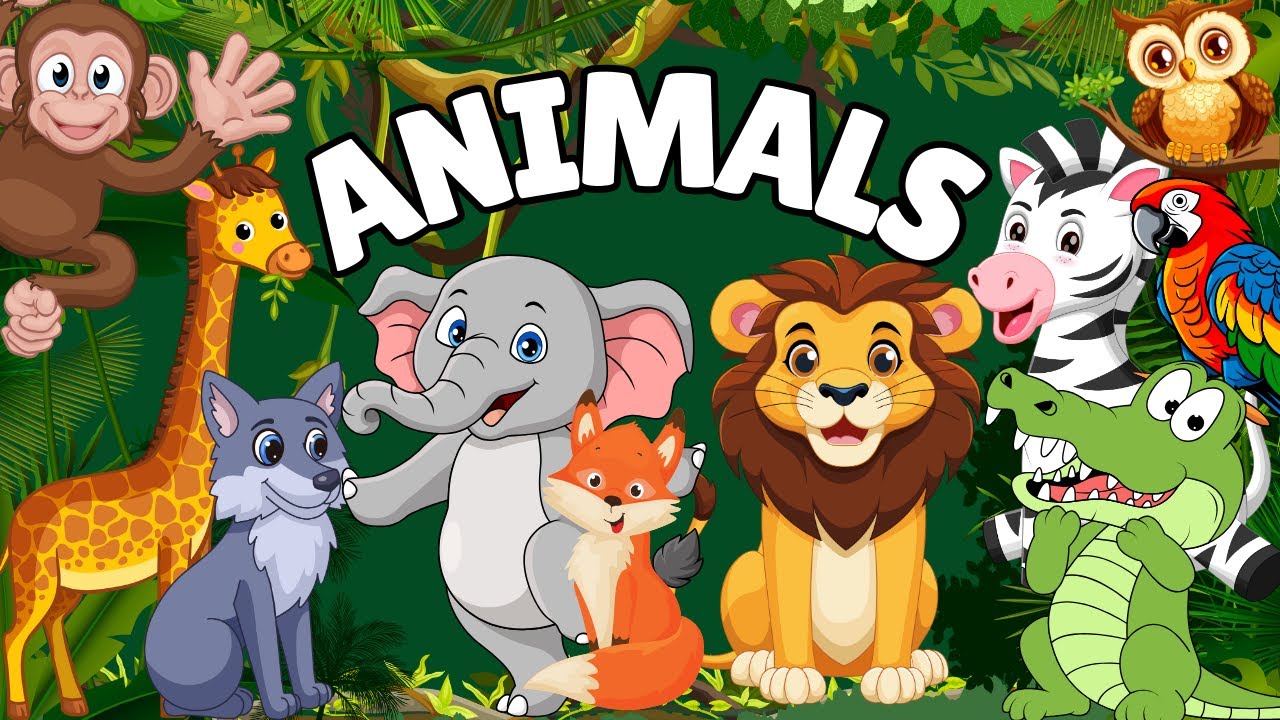Learn to Count with Animals | Wild Animals | Zoo Animals | Animals for ...