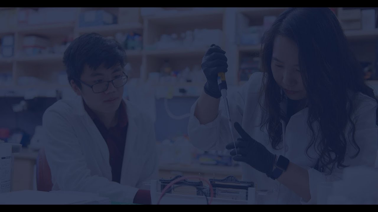 Celloram - Small Molecule - YouTube