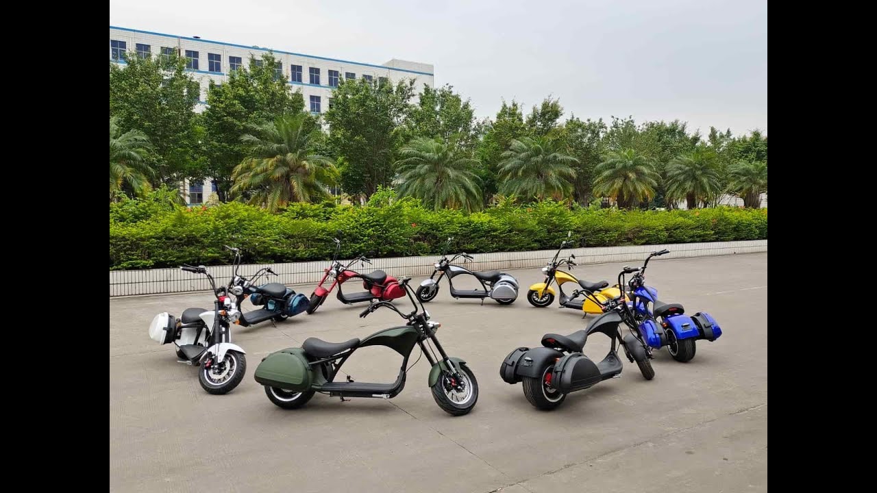 Montage Koffer E-Chopper X9, Blake, Angry Blake, Video nach Kundenwusch ...