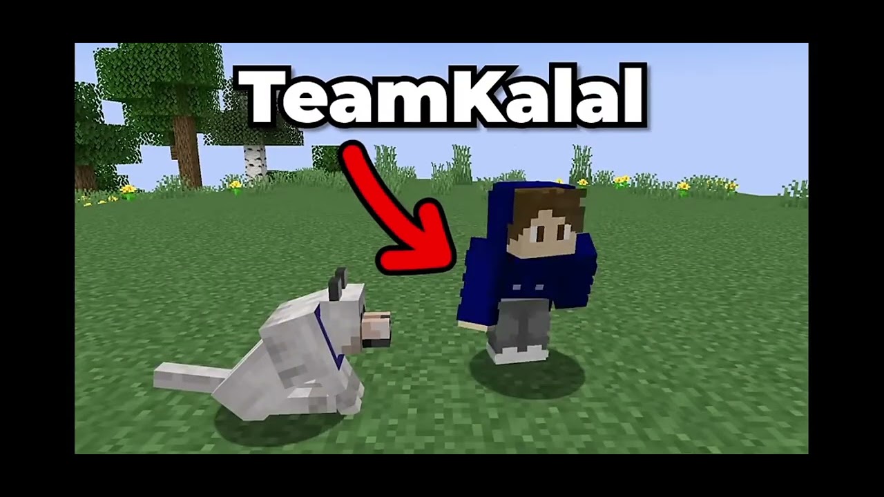 Breeding 1,029 wolves to kill one minecraft player.... - YouTube