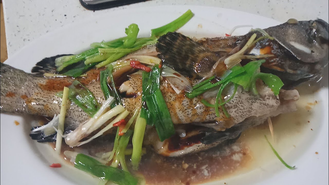 STEAM LAPU2 FISH - YouTube