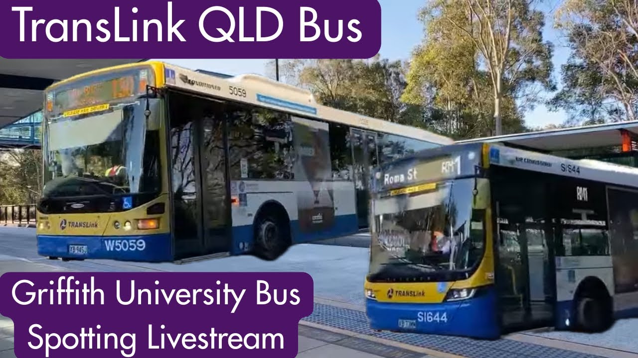 Griffith University Bus Spotting Livestream - TransLink QLS - YouTube